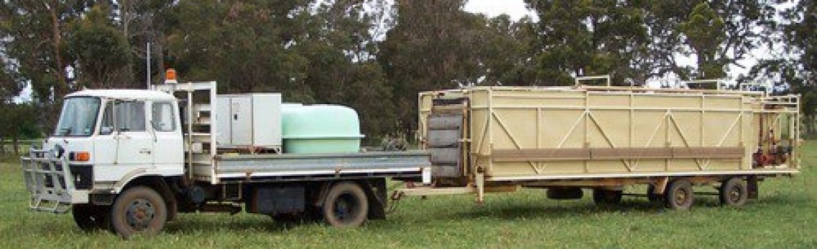 RT White and Co Sheep Shower